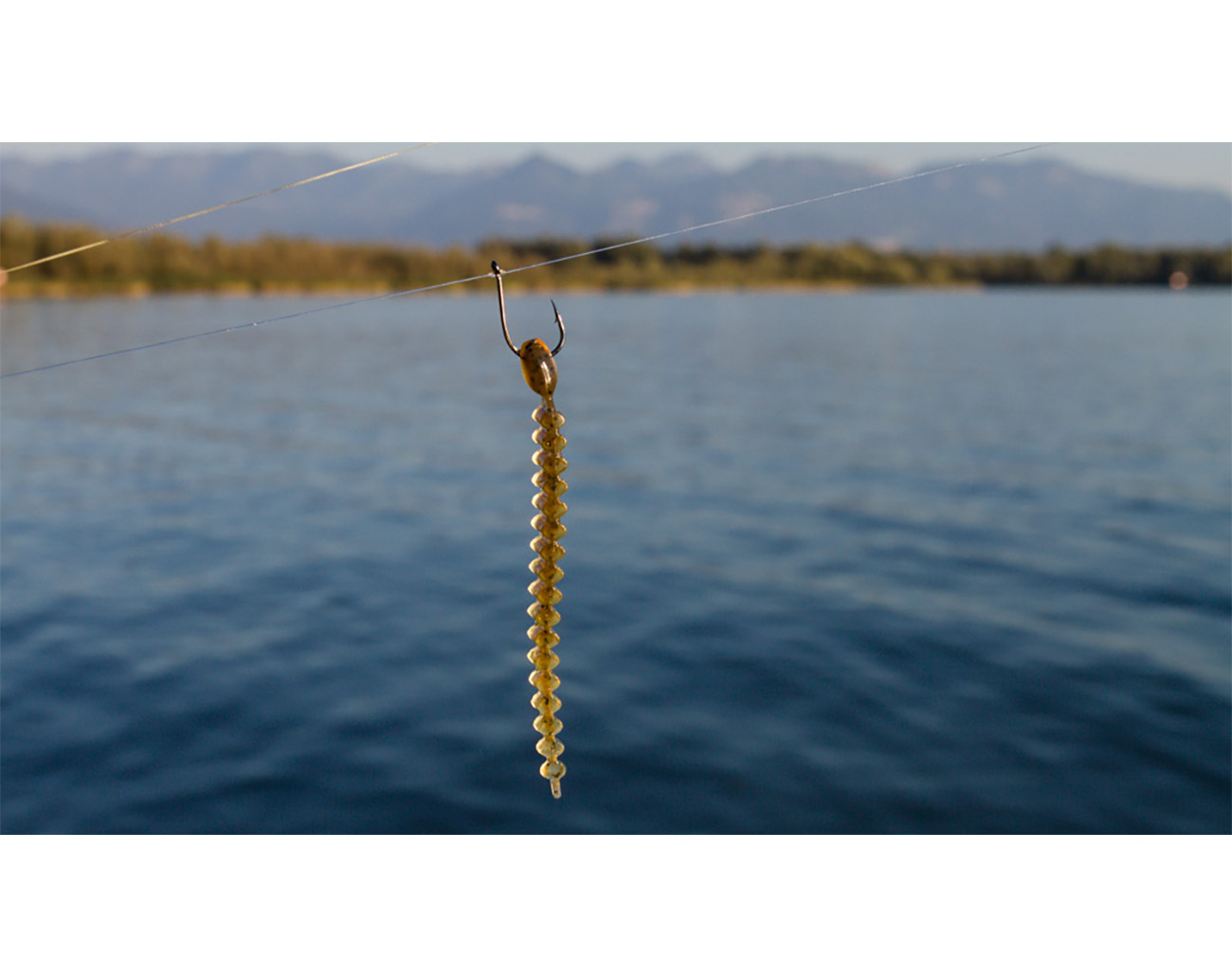 Keitech Custom Leech 7,6 cm | Fiskedrag - Dropshot Jigg