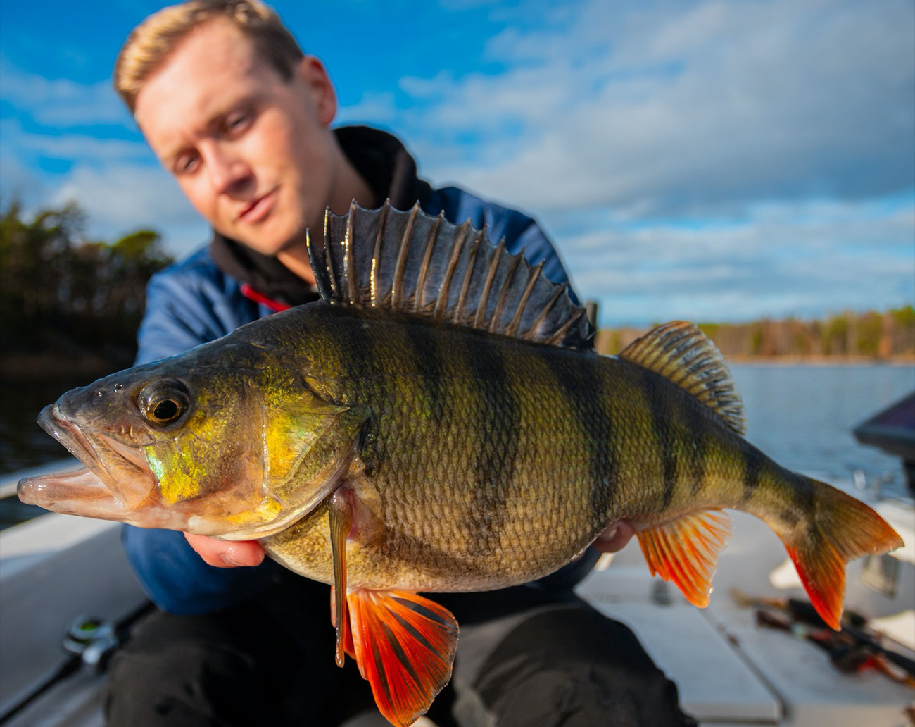 Mikado Flat Fish 7 cm | Fiskedrag - Abborre & Gösjigg